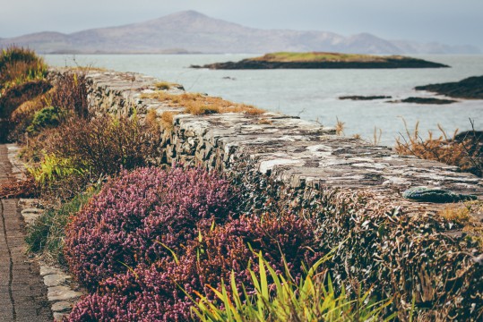 Hiking and Travel in West Cork – Steven Sheehy