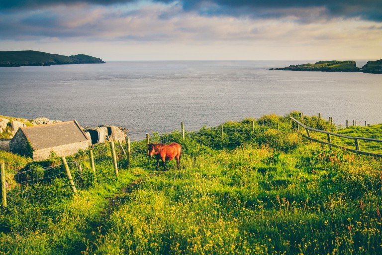Hiking the Beara Way: Amazing Walks in Ireland (Part 1) – Steven Sheehy